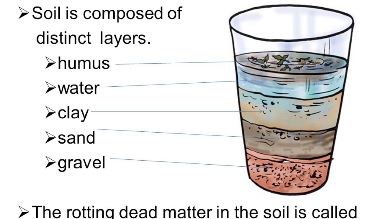 Soil Worksheet For Class 7 MyCBSEguide